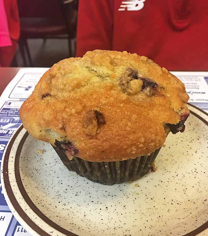 A blueberry muffin with that perfect golden dome – the kind that makes you wonder why you ever settled for those sad coffee shop versions.