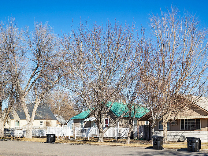 Modest homes with breathing room between them – a neighborhood where you can actually hear birds instead of your neighbor's Netflix selections.