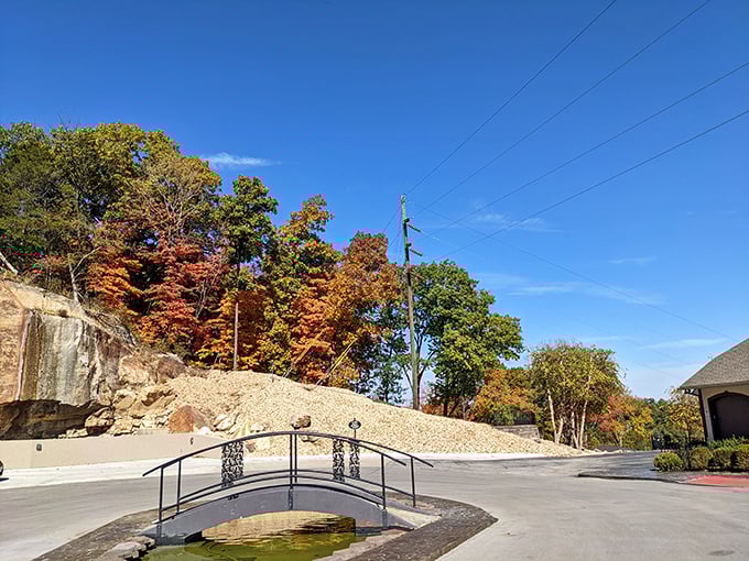 A charming footbridge arches over a small pond, surrounded by autumn foliage that transforms Hermann into a painter's palette each fall.