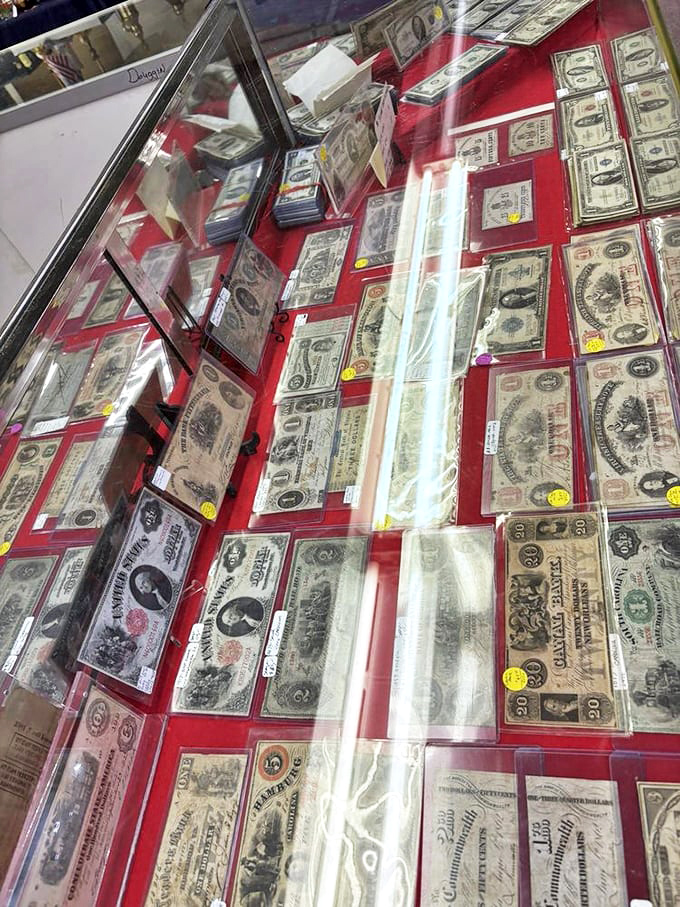 Currency from another era displayed like fine art. These aren't just old bills&mdash;they're historical documents with presidential portraits and fascinating design details.