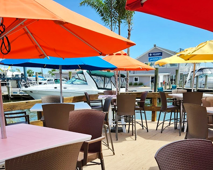 Colorful umbrellas and waterfront views create the perfect backdrop for seafood indulgence. Even the boats seem to be watching with envy.