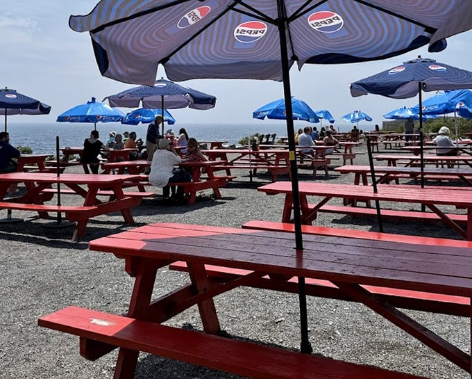 Outdoor dining with ocean views that no interior designer could replicate. Million-dollar scenery included with every meal.