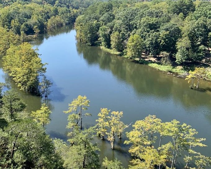 From this vantage point, the river curves like a lazy question mark, asking why you don't visit more often.