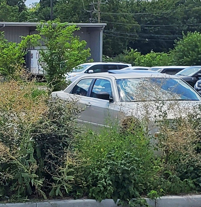 Even the parking area hints at the popularity of this budget-friendly fashion destination among savvy Kentucky shoppers.