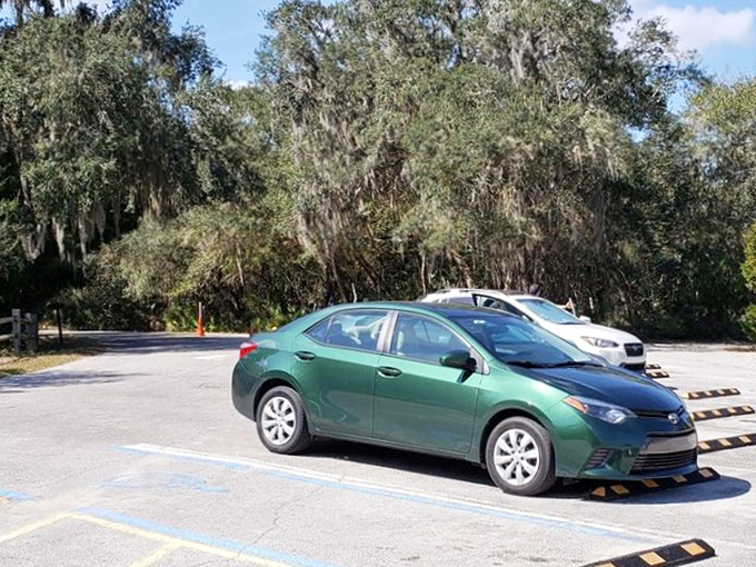 Even the parking lot sits under a canopy of Spanish moss. Your car might be the only thing getting shade in Florida.