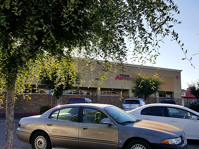 Even the trees seem to be shopping at AMVETS, their branches reaching toward deals too good to pass up.