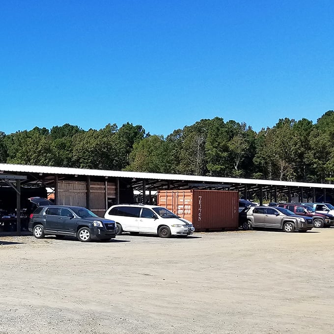 The market's simple structure belies the complexity of treasures within. Like a library of objects waiting to tell their stories.