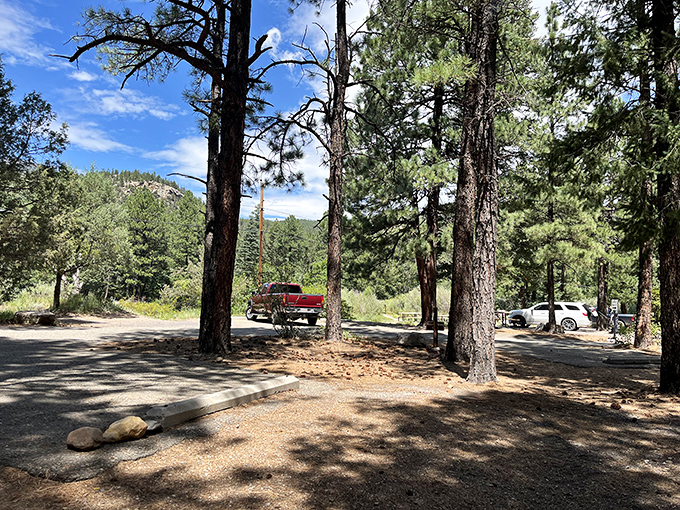 Ponderosa pines stand guard over this peaceful parking area, offering shade that feels like nature's version of valet service.