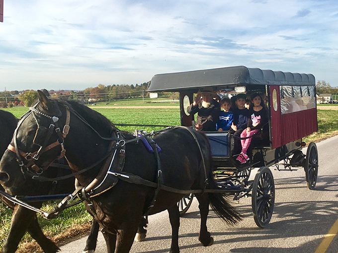 "All aboard the time machine!"&mdash;families experience the gentle sway and rhythmic clip-clop that was once everyone's daily commute.