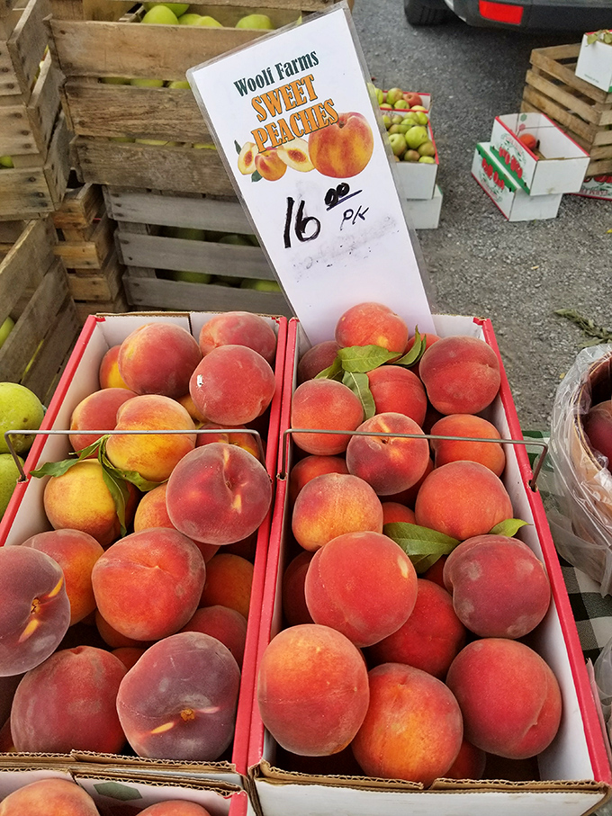 Wooff Farms' peaches glow with summer promise – each fuzzy orb a perfect sphere of sweetness waiting to drip down your chin.