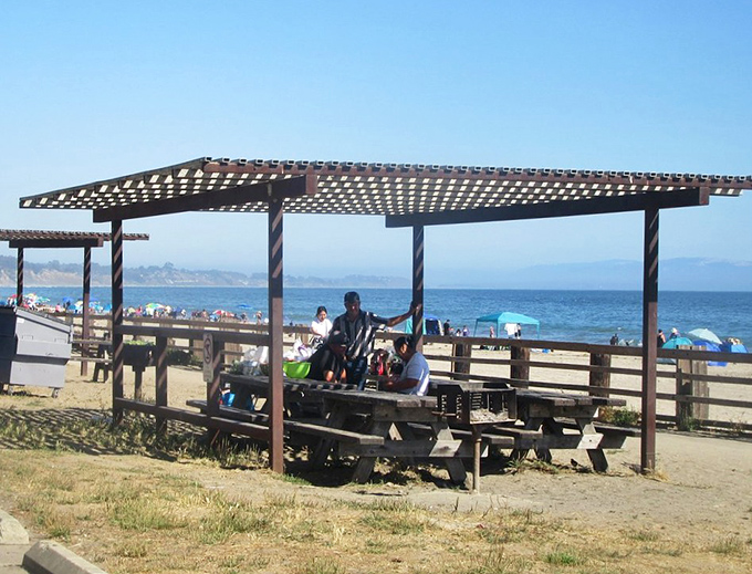 Shaded picnic areas offer front-row seats to nature's greatest show, turning even the simplest sandwich into an oceanfront dining experience.