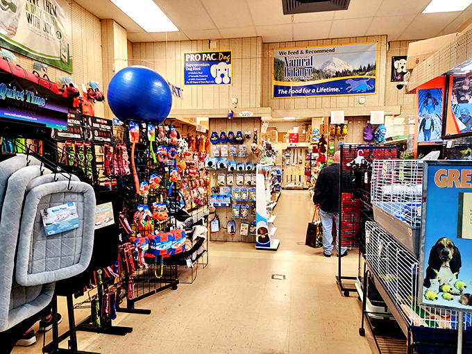 Pet paradise! From comfy beds to gourmet treats, this shop ensures your four-legged family members live better than most college students in their first apartments.