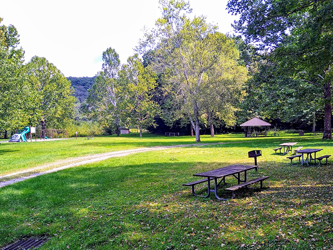 Picnic tables scattered under shade trees&mdash;where potato salad tastes better and conversations linger longer. The original outdoor dining experience!