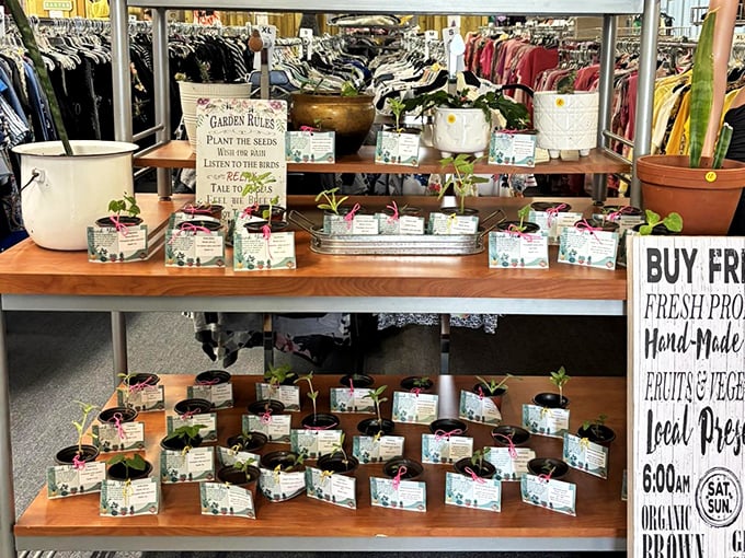 These seedlings represent the ReStore philosophy in miniature&mdash;new life from what others have left behind.