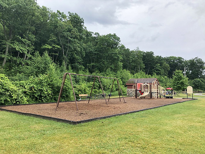 Even at 1,800 feet elevation, kids still need to swing. This playground proves that sometimes the best views come between trips down the slide.