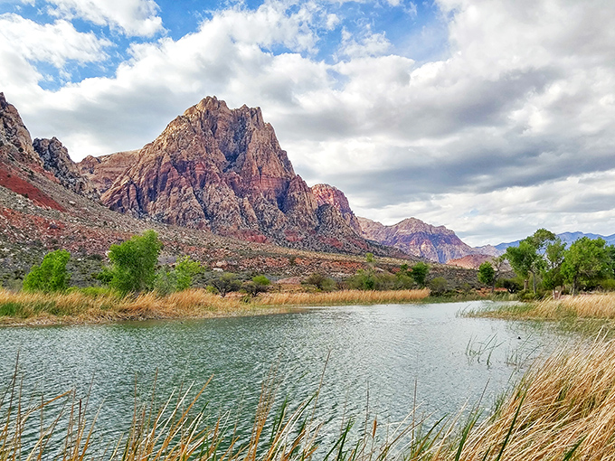 Lake Harriet doesn't just reflect mountains; it reflects life choices. The right one was clearly coming here instead of sitting in traffic.