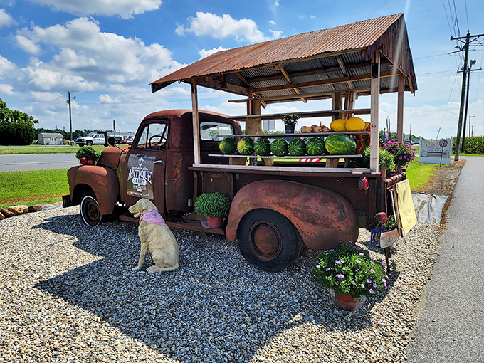 This vintage truck doesn't just display produce&mdash;it showcases Americana on wheels. Even the dog seems to appreciate its rustic charm!