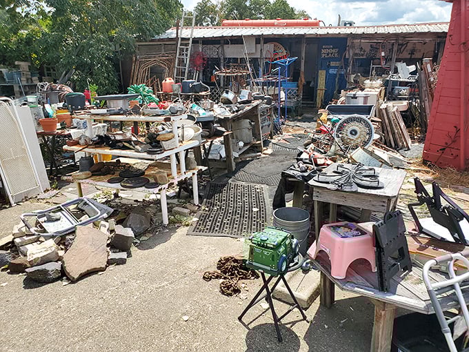 What appears to be random junk to the untrained eye is actually a carefully curated selection of "someday useful" items waiting for their perfect match.