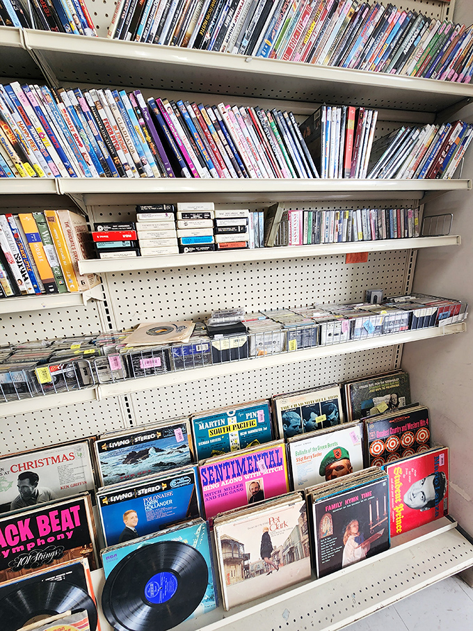 Vinyl treasures and cinematic gems line these shelves, where Martin Fin's "Sentimental" album might become your next dinner party soundtrack discovery.