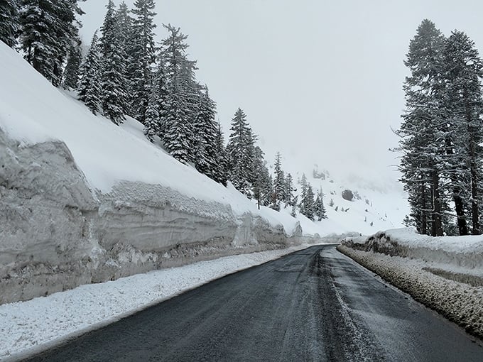 The road to Kirkwood—where snow walls tower like nature's version of cubicle dividers, except infinitely more inspiring.