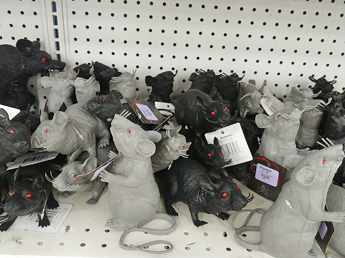Halloween decor or year-round conversation starter? These rubber rats await adoption by someone with either a sense of humor or a haunted house.