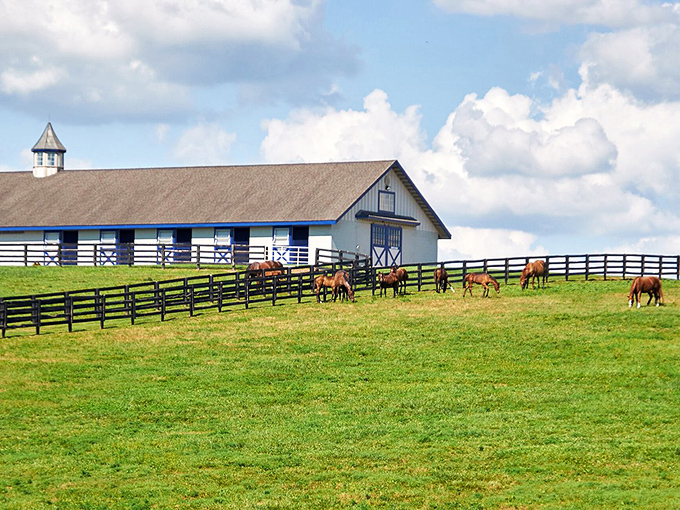Horse heaven looks exactly like this: pristine barns, perfect fences, and residents who have better healthcare than most Americans.