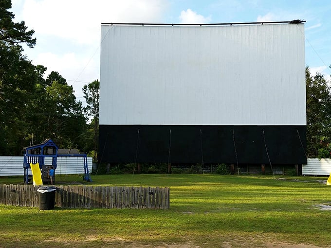 The blank canvas of possibility stands tall against Carolina pines. Soon this screen will transport hundreds to worlds beyond imagination.