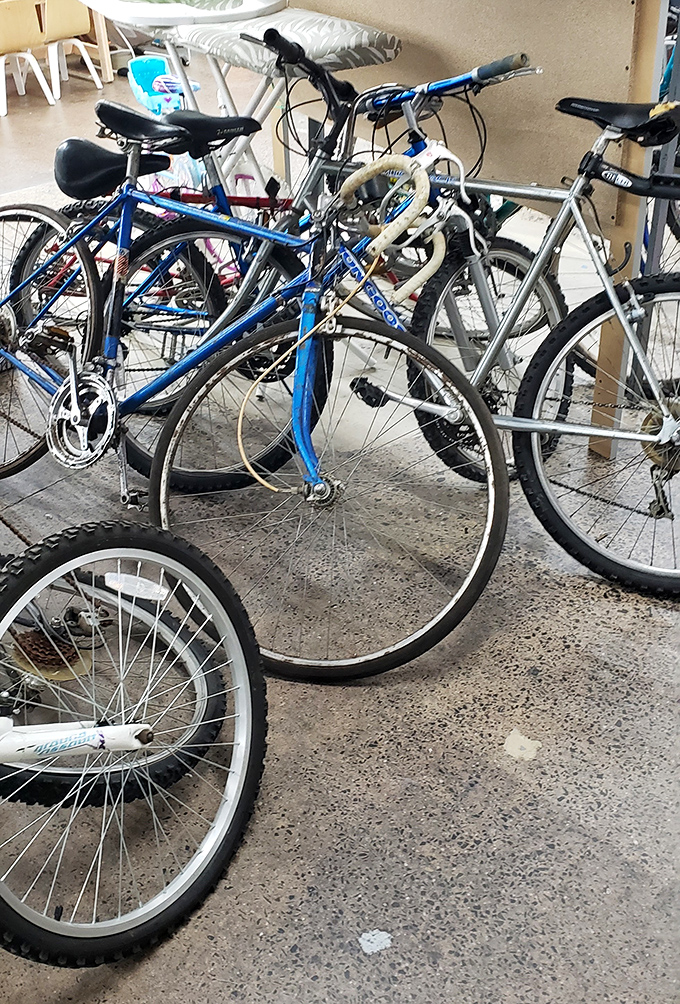 Pedal-powered possibilities line up in the bicycle section, where someone's abandoned Schwinn becomes your new weekend cruiser.