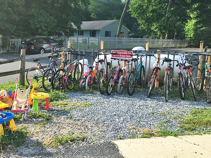 Bicycle bonanza! From beach cruisers to kid's first rides, these wheels are ready for new adventures along Delaware's coastal paths.