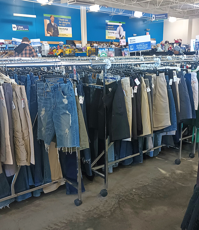 Denim democracy in action. From distressed to pristine, these jeans have stories woven into every fiber, waiting for new chapters to be written.