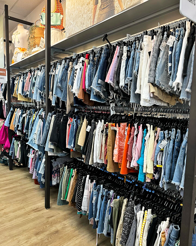 Denim dreams come true in the shorts section. Florida's unofficial uniform gets the designer treatment without designer prices.