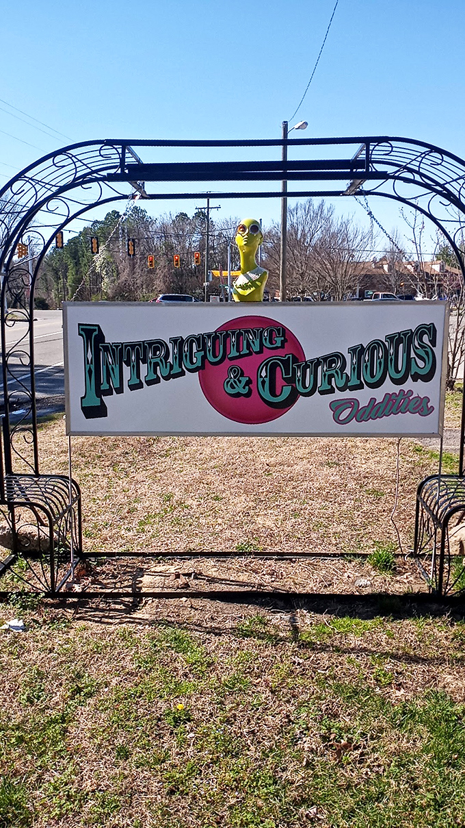 "Intriguing & Curious Oddities" indeed&mdash;this sign promises exactly the kind of adventure that turns a quick stop into an afternoon expedition. 