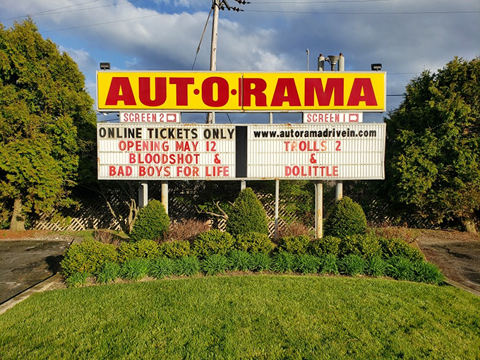 The marquee announces tonight's escape routes from reality—each title a promise of adventure just beyond the ticket booth.