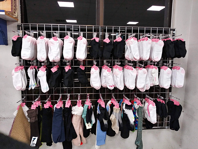 Even the humble sock gets the royal treatment here, organized with a precision that would make Marie Kondo proud.