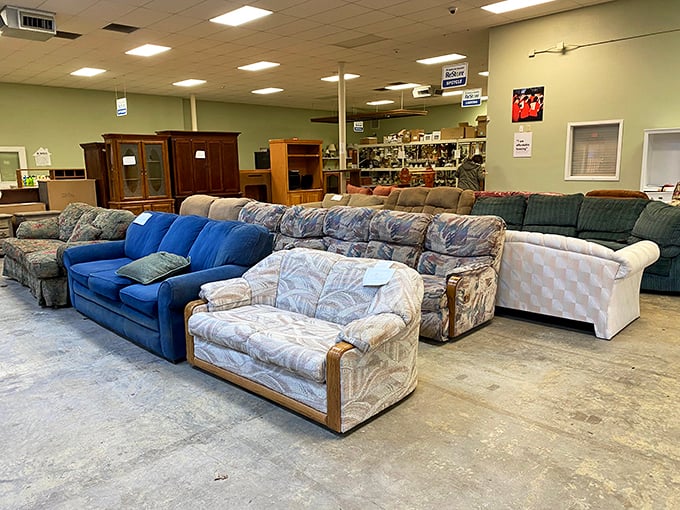 Sofa, so good! The couch collection ranges from "grandma's plastic-covered formal room" to "perfect for a college apartment" and everything in between.