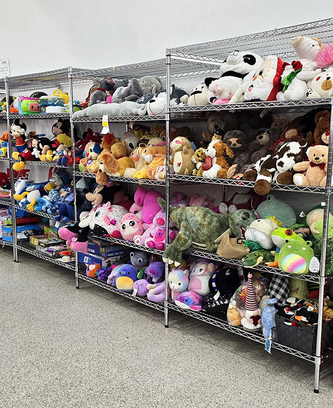 Stuffed animal heaven or adorable army? Either way, these once-loved plushies are ready for their heartwarming sequel with a new family.