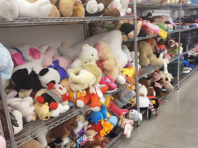 Stuffed animal paradise! A mountain of plush companions that would make any child (or nostalgic adult) weak at the knees.