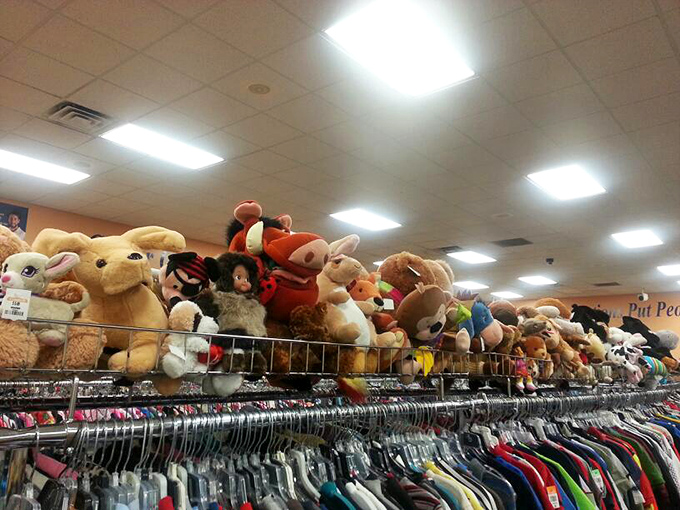 Stuffed animals perched above clothing racks like fuzzy cheerleaders encouraging you to find that perfect vintage tee below.