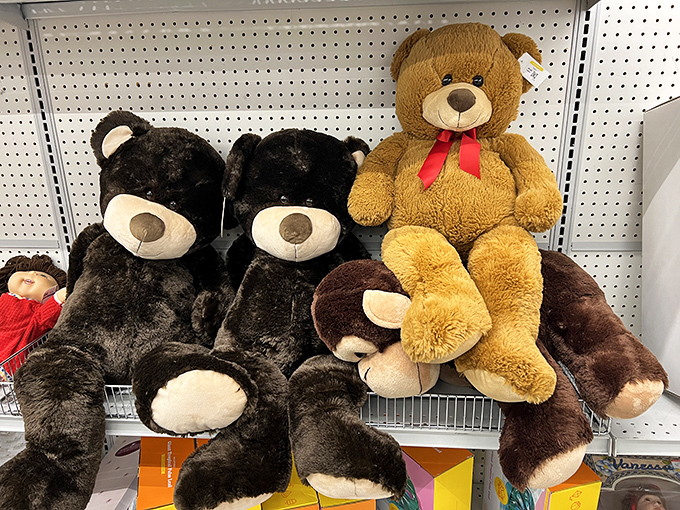 Teddy bears waiting for their forever homes, proving that second-hand cuddles can be just as warm as first-hand ones