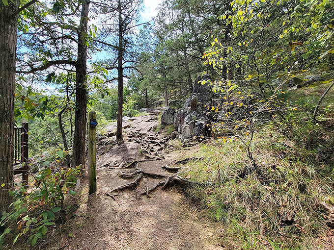 Rugged terrain reveals the park's dramatic geological story. These exposed rock formations showcase some of the oldest visible rock in the United States.