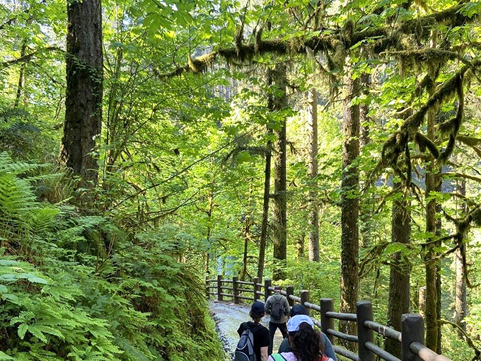 The well-maintained trails wind through moss-draped forests where even the most dedicated city-dweller feels like a natural explorer.