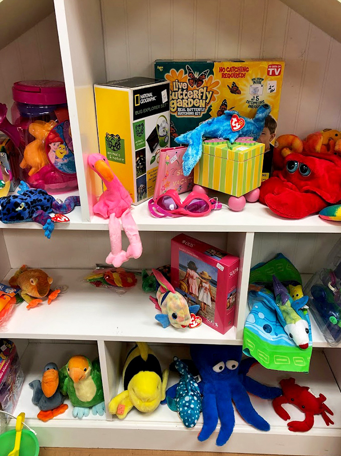 Stuffed animals enjoying their intermission between loving homes. That blue dolphin has stories to tell about his previous family.