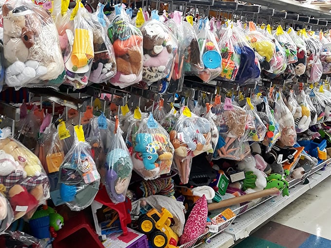 Bagged toys hang like colorful cocoons, each containing childhood joy waiting to be released at a fraction of retail prices.