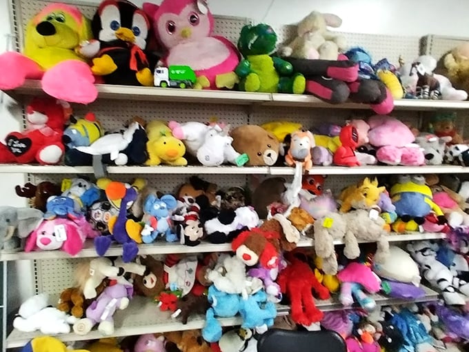 Stuffed animal paradise where forgotten teddy bears find new homes. That pink penguin might become some child's most cherished possession by bedtime tonight.