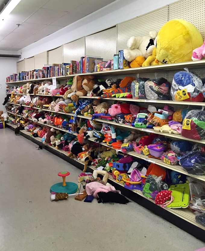 Stuffed animal kingdom: where pre-loved teddy bears and forgotten friends patiently wait for their next cuddle adventure.