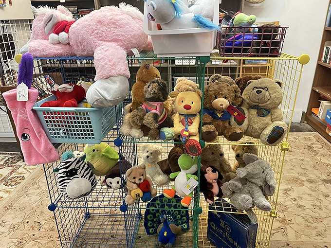 The stuffed animal adoption center, where these plush companions silently plead, "Take me home!" with their button eyes and bargain price tags.