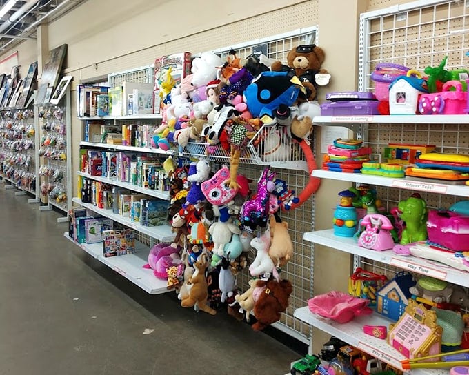 Stuffed animal mountain! Every plush creature here is hoping for a second chance at being someone's bedtime buddy.