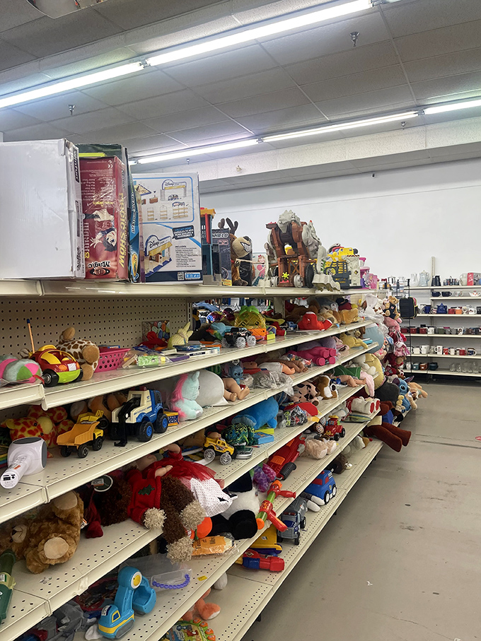 Stuffed animals and plastic toys stand at attention, patiently waiting for second chances with children who won't mind their gently-used charm.