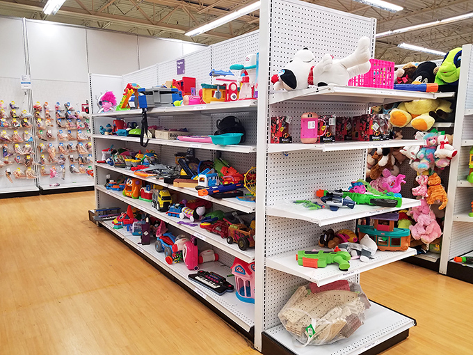 The toy section: a colorful time capsule where childhood memories are priced by the pound and yesterday's Happy Meal toys become tomorrow's vintage collectibles.