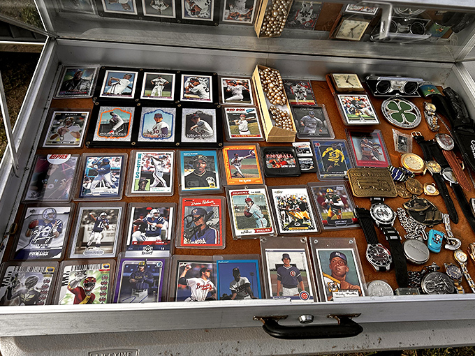 Baseball cards displayed like fine art&mdash;where childhood heroes and forgotten rookies wait for collectors to debate their worth and potential.